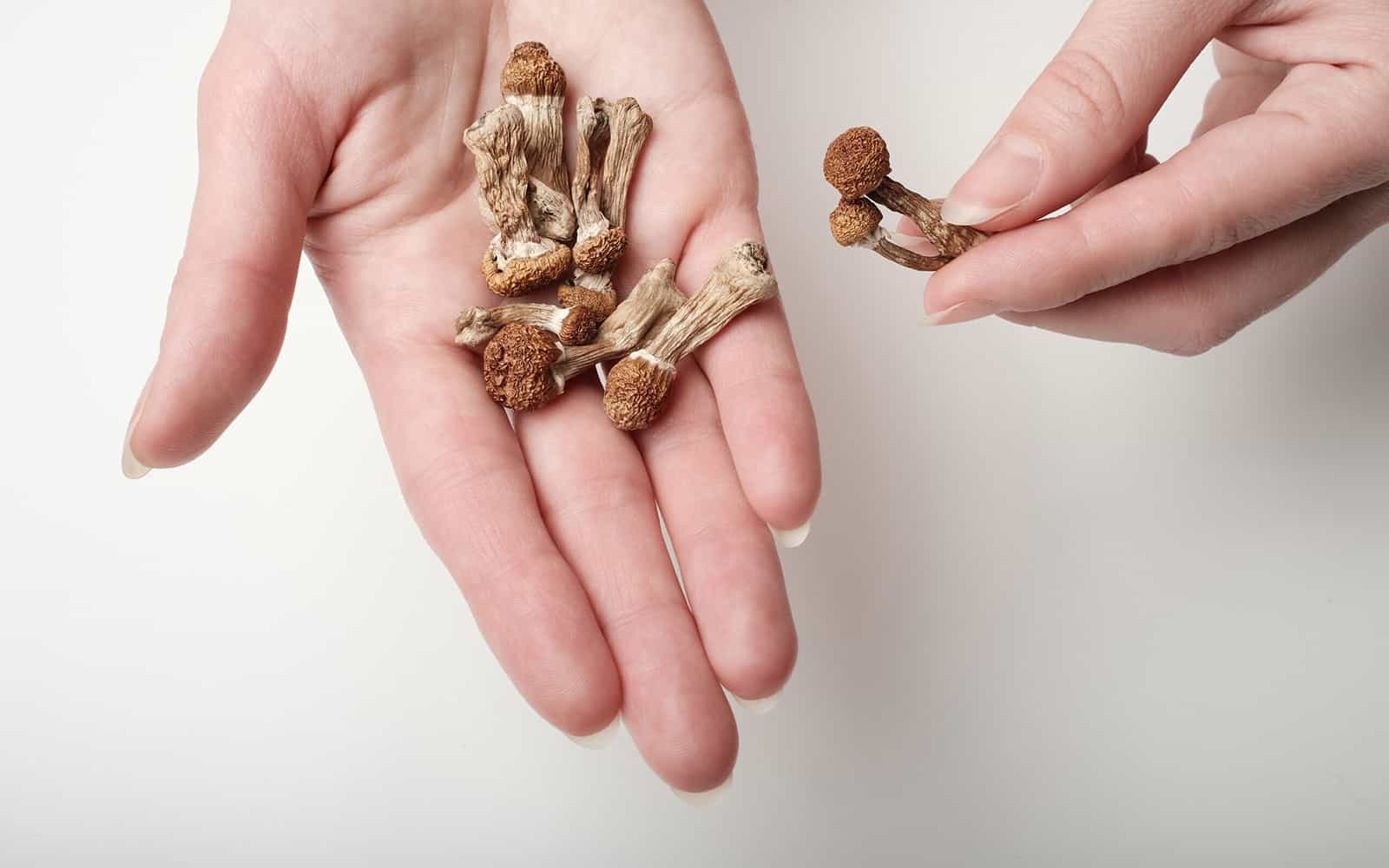 Psilocybin Microdosing: A Comprehensive 2025 Guide | Daytryp Health