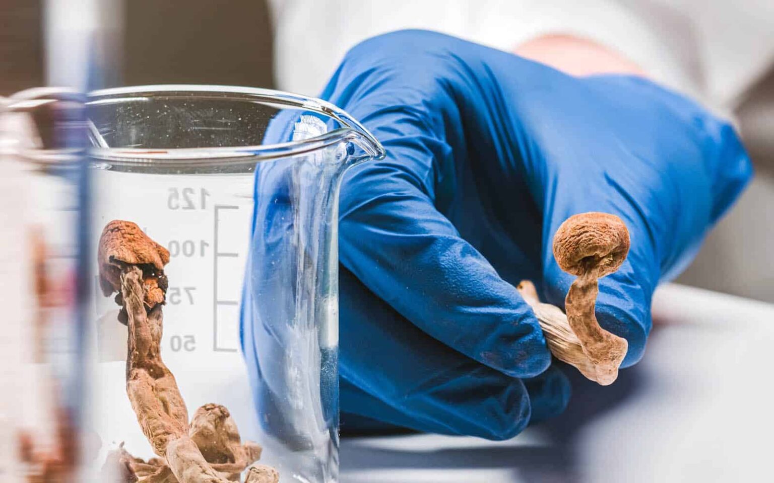 Psilocybin Microdosing: A Comprehensive 2025 Guide to Science, Safety ...